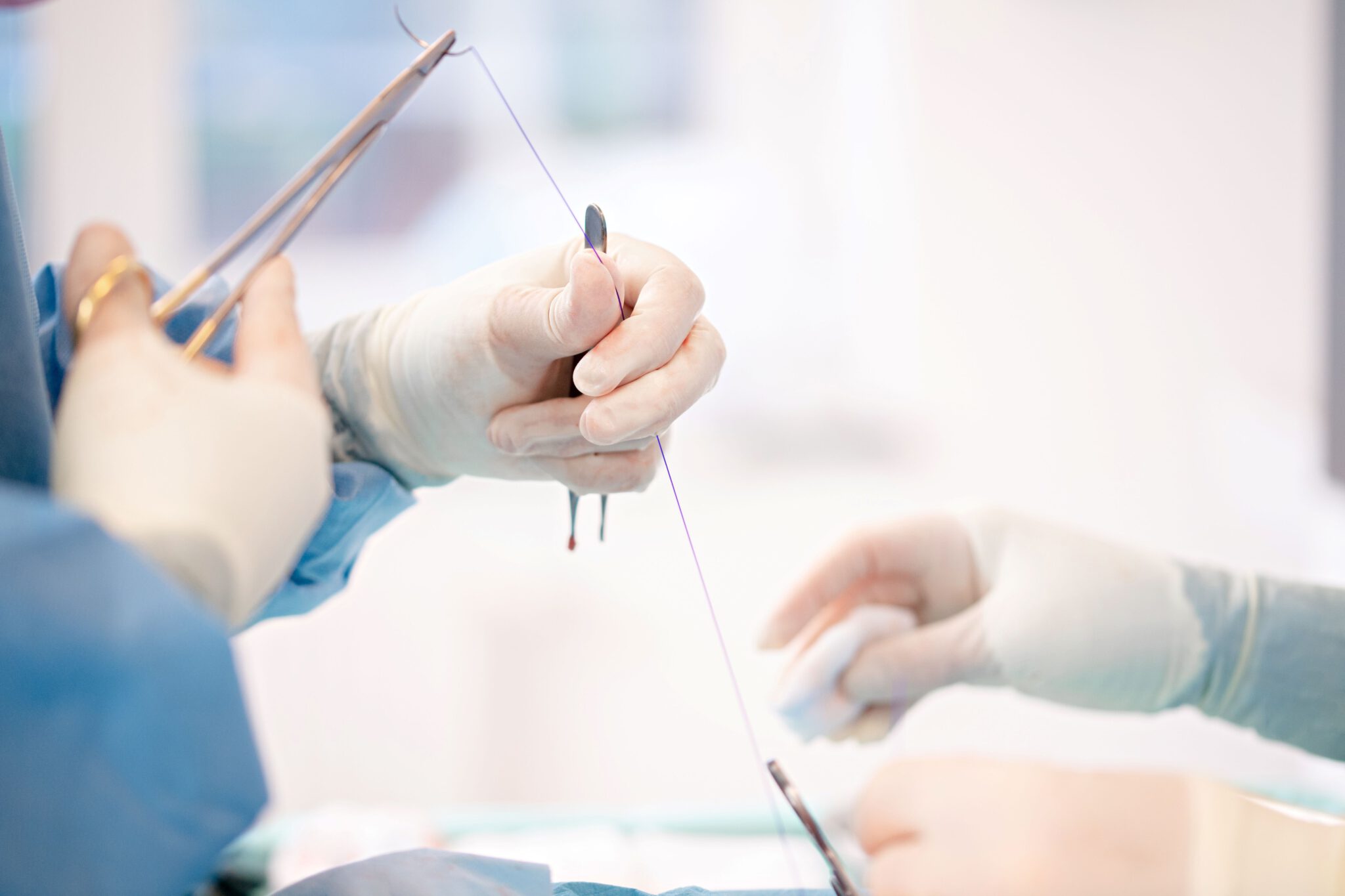 Leistungen - Kleintierspezialisten - Leipzig